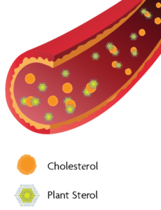 Sitosterolemia : LearnYourLipids