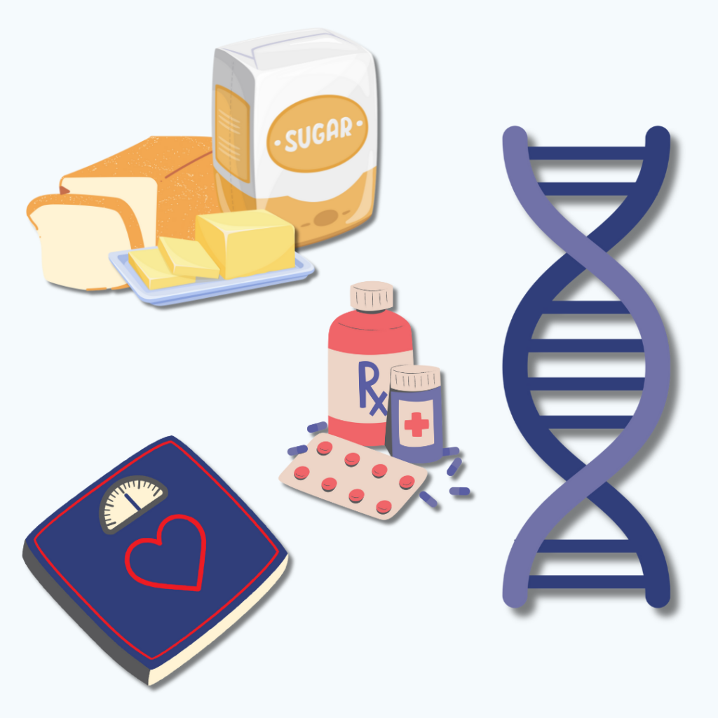 Triglycerides : LearnYourLipids